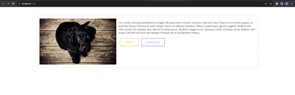 Designing Responsively : A Deep Dive Into CSS Container Queries | Specbee